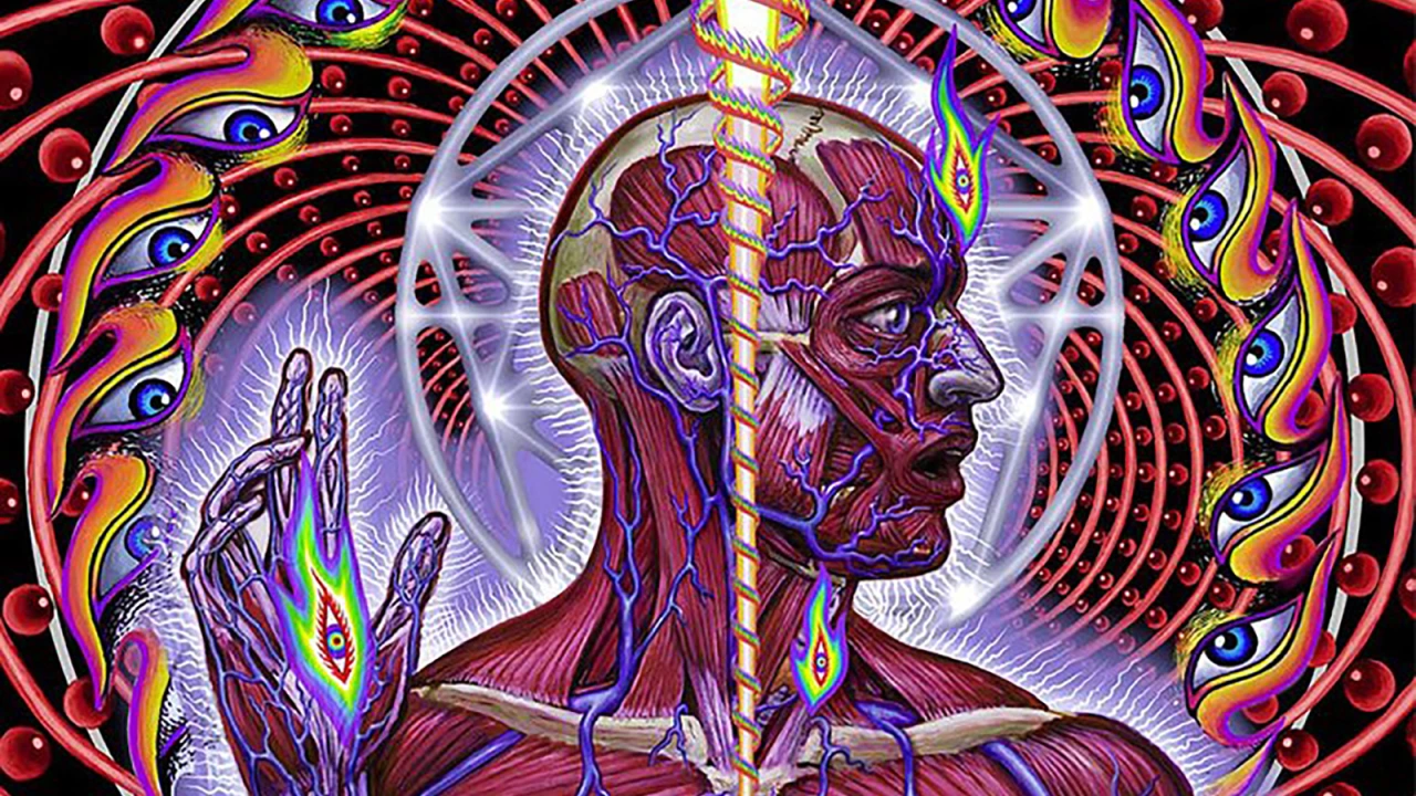 10 Things You Didn't Know About Tool's 'Lateralus'
