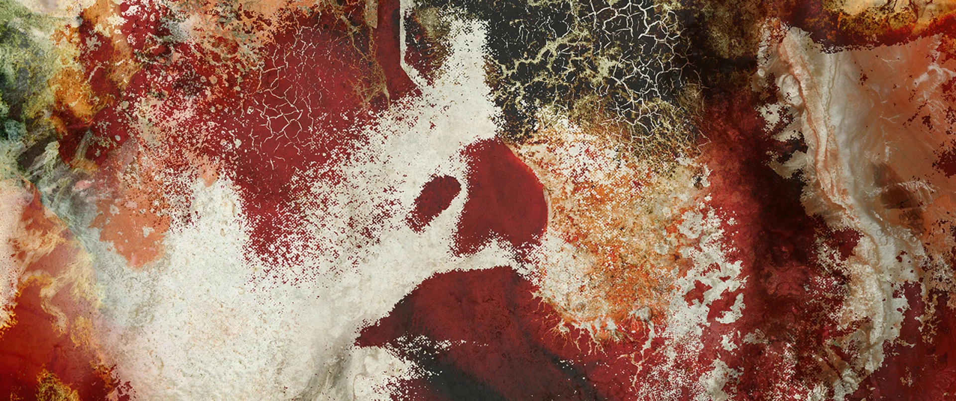 Converge's Jacob Bannon: How Nine Inch Nails Inspired Insane Revolver ...