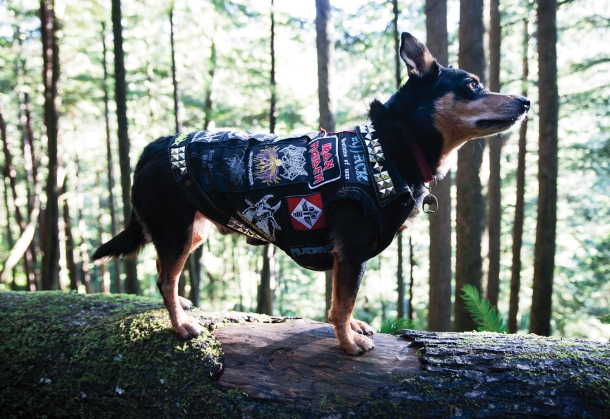 Battle Jackets: Photographer Peter Beste Explores the Art of the Metal Vest