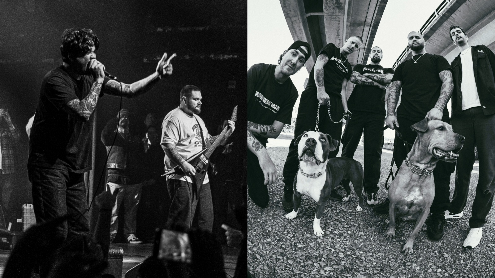 PAIN OF TRUTH and SUNAMI release split EP, announce U.S. dates