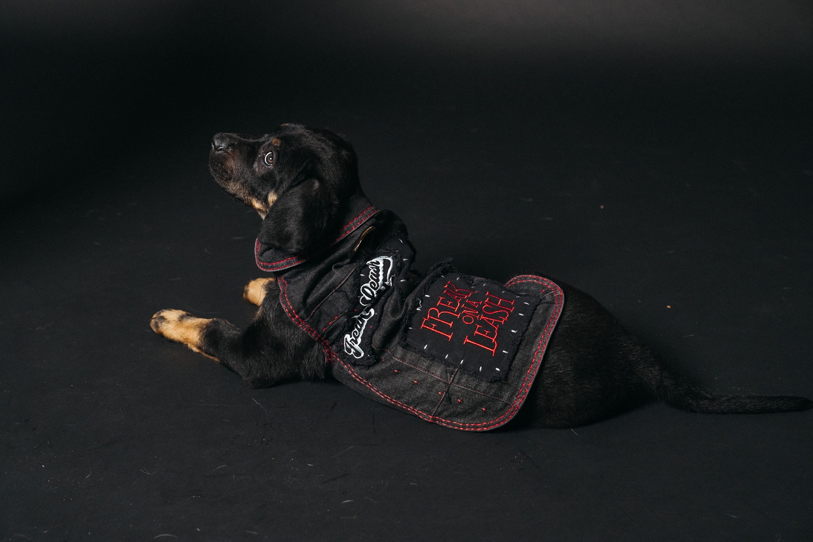 KORN's JONATHAN DAVIS teams with fashion designer ASHTON MICHAEL for ...