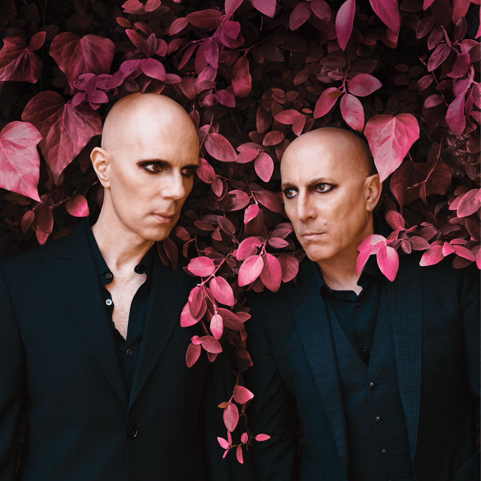 A PERFECT CIRCLE at 25: MAYNARD JAMES KEENAN and BILLY HOWERDEL look ...